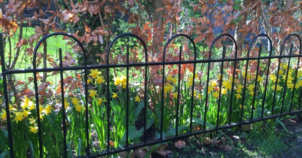 The Lakeside Hoop Top Fencing Style 33
