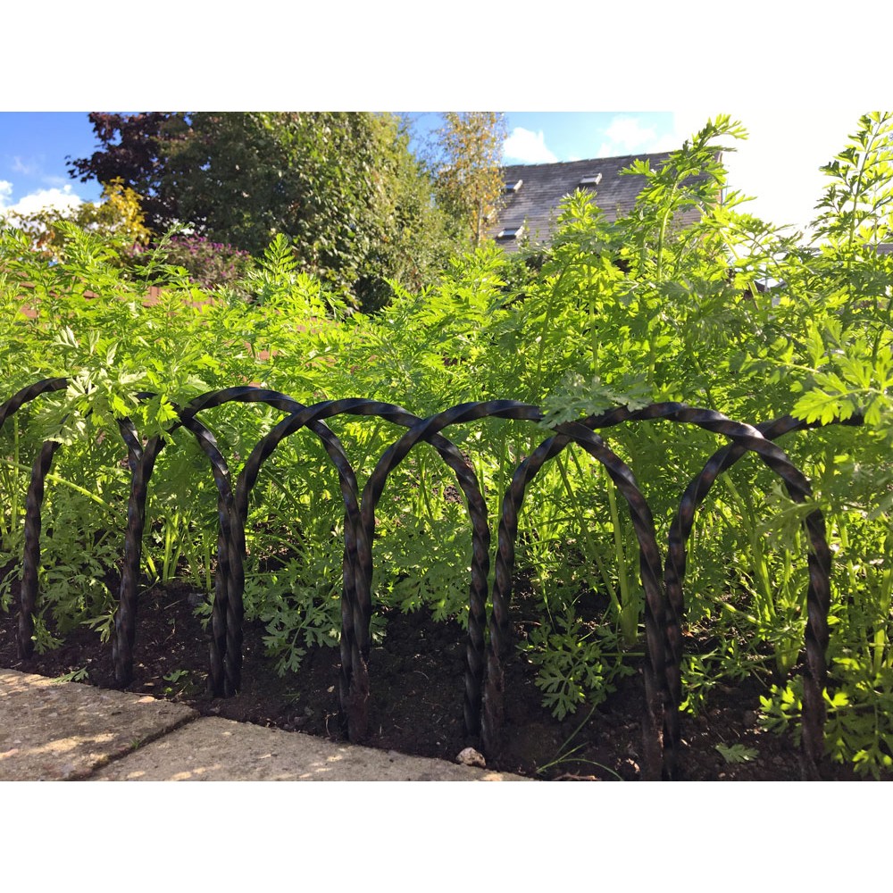 Twisted Border Edging: Hoops